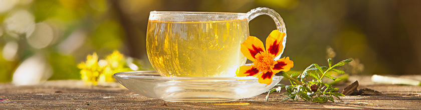 Herbal Tea Selection and Japanese Matcha - Organic - PureNature